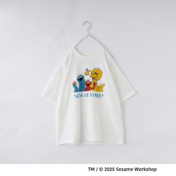 型番：23813509ブランド：ザ ショップ ティーケー商品名：【110-160】セサミストリートTシャツ／親子リンクカラー：オフホワイト（００３）/スミクロ（０１８）/オフホワイト（１０３）/スミクロ（１１８）