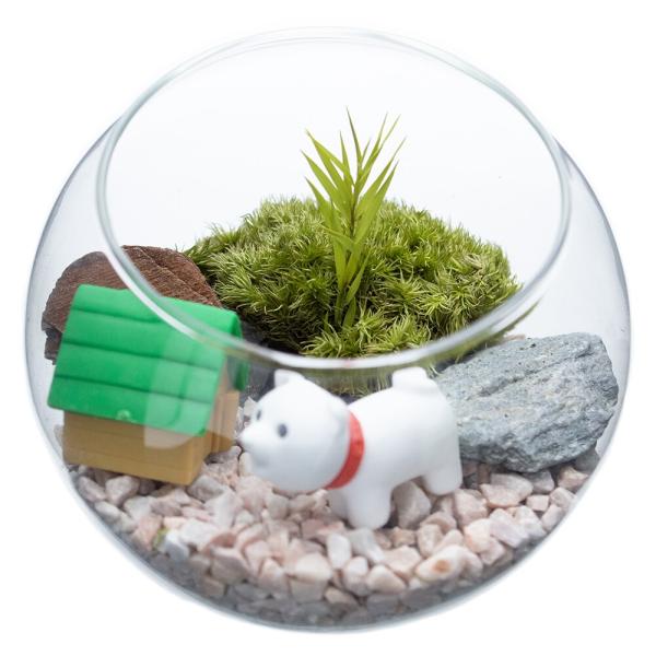 型番：11224KPブランド：パレット商品名：枯れない苔テラリウムキット 犬と小屋カラー：**