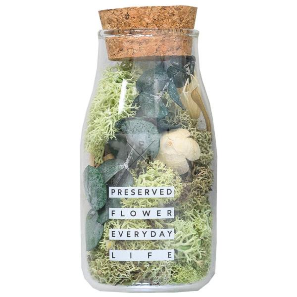 型番：01134OAブランド：パレット商品名：プリザーブドフラワーアレンジメント　PFEL　ボトルモス　アイスランドモス モスグリーンカラー：**