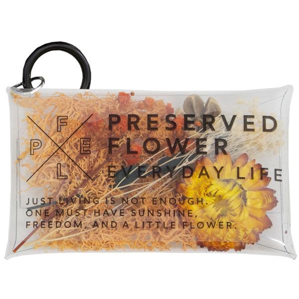 型番：01148OAブランド：パレット商品名：プリザーブドフラワーアレンジメント　PFEL　クリアポーチ　アイスランドモスオレンジカラー：**