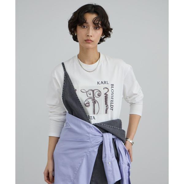 型番：SHM36080ブランド：サロン アダム エ ロペ商品名：【KARL BLOSSFELDT  by SALON】フォトロングスリーブTシャツカラー：チャコール(06)/グレー(07)/ホワイト(10)/ホワイト系(11)
