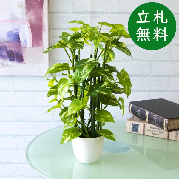 (PAS063)【商品サイズ】H約38cm【器材質】陶器鉢