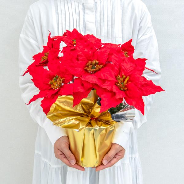 (PAS116)【商品サイズ】H約40cm×W約40cm