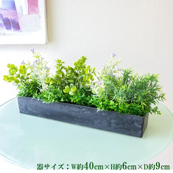 (PAS119)【商品サイズ】H約20cm×W約45cm