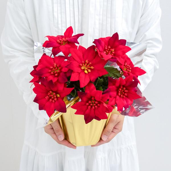 (PAS161)【商品サイズ】H約30cm×W約25cm