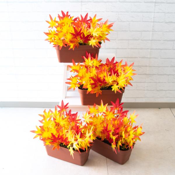 (PF415)H約35cm×W約40cm(プランターサイズ：H約12cm×W約30cm×D約13cm)