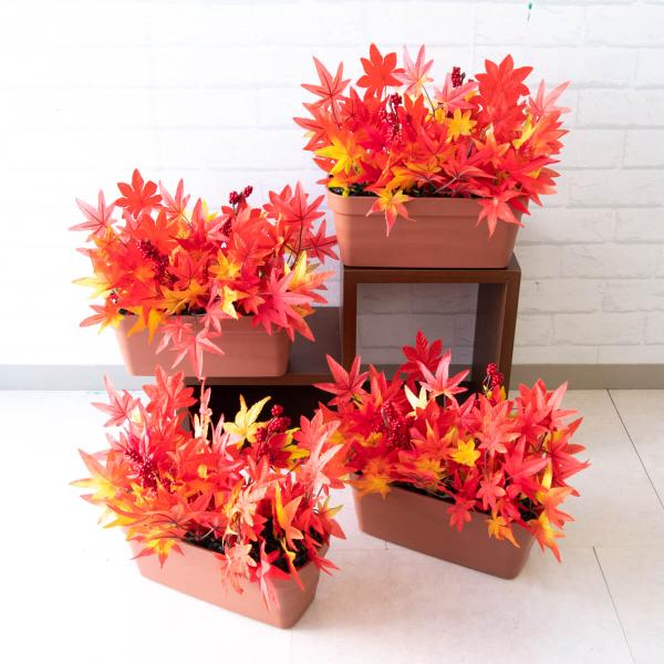 (PF416)H約30cm×W約35cm(プランターサイズ：H約12cm×W約30cm×D約13cm)