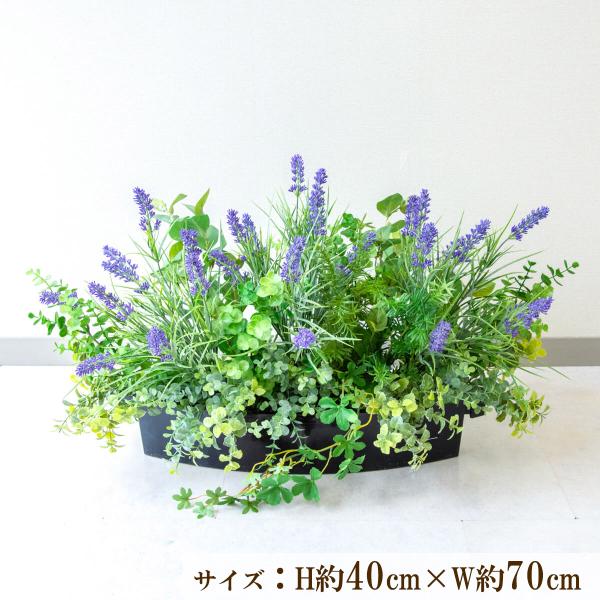 H約40cm×W約70cm(プランターサイズ：H約10cm×W約53cm×D約14.5cm)