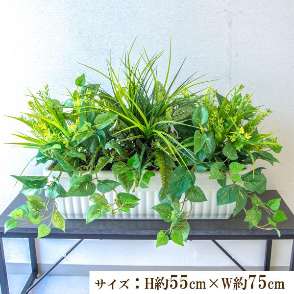 (PFW007-JRM)H約55cm×W約75cm(プランターサイズ：H約19cm×W約65cm×D23.5cm)