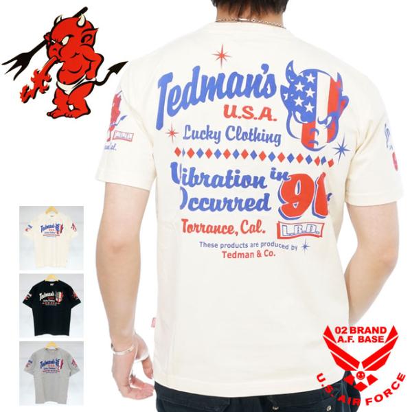 ●商品名テッドマン アメリカン・ポップ 星条旗 抜染プリント 天竺 半袖Tシャツ tdss-559●キーワード送料無料 メール便対応 アメカジ バイカー カジュアル ミリタリー エフ商会 ハルカミライ インナー カットソー ハーレー アメリ...