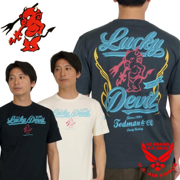 ●商品名テッドマン レタリング風 ピンストライプ 抜染プリント 半袖Tシャツ 天竺生地 tdss-575●キーワード送料無料 メール便対応 アメカジ バイカー カジュアル ミリタリー エフ商会 アメ横 エアーフォース サバゲー ハルカミライ...