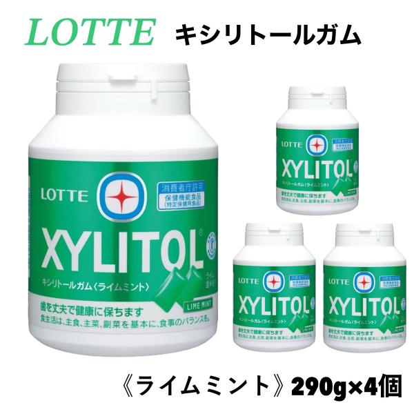 ロッテキシリトールガムは、日本歯科医師会の推薦商品です。ロッテキシリトールガムは、歯の再石灰化を増強。歯を丈夫で健康に保ちます。１回に２粒を５分噛み、１日７回を目安にお召し上がりください。キシリトールガム＜ライムミント＞は、すっきりとした清...