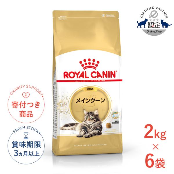 お得な6点セット★体が大きく堂々とした容姿を持つメインクーン、その体の維持に欠かせない栄養素を豊富に含んだ専用フードです♪ サイズ・2kg