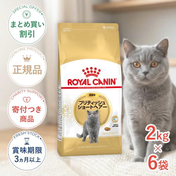 [ロイヤルカナン]ROYAL CANIN 【お得な6個セット】ブリティッシュ ショートヘアー 成猫用 2kg 2kg×6 FBN ブリティッシュ ショートヘアー 成猫用 猫用品 フードブリティッシュ ショートヘアーのために特別に設計された栄...