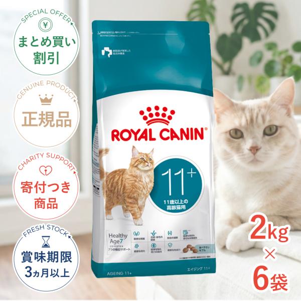 一部の高齢猫では、加齢によって味覚や嗅覚が低下し、食事量が減少することがあります。さらに、代謝、運動機能、消化機能、腎機能、筋肉量、感覚機能など、目に見えにくい老化のサインにも影響を受けやすくなります。これらの健康状態の変化は、日常的な活動...