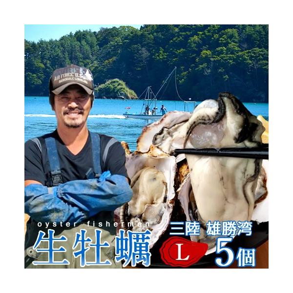 世界三大漁場である美しいリアス式海岸の三陸、豊かな山々から流れ出る栄養たっぷりの湧き水、海底からも水が湧き出ているためにここ雄勝湾はミネラルが豊富な海水として知られています。通常、カキの養殖は浅場や内湾で行われますが、雄勝湾では大きな川が無...