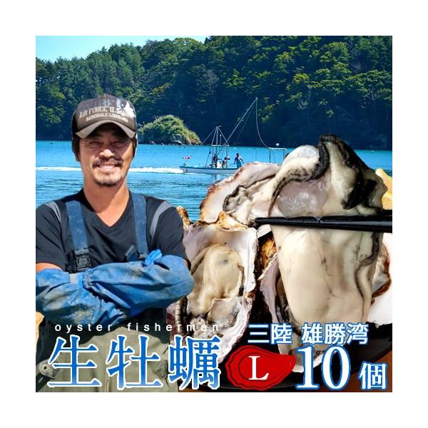 世界三大漁場である美しいリアス式海岸の三陸、豊かな山々から流れ出る栄養たっぷりの湧き水、海底からも水が湧き出ているためにここ雄勝湾はミネラルが豊富な海水として知られています。通常、カキの養殖は浅場や内湾で行われますが、雄勝湾では大きな川が無...