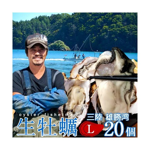 世界三大漁場である美しいリアス式海岸の三陸、豊かな山々から流れ出る栄養たっぷりの湧き水、海底からも水が湧き出ているためにここ雄勝湾はミネラルが豊富な海水として知られています。通常、カキの養殖は浅場や内湾で行われますが、雄勝湾では大きな川が無...