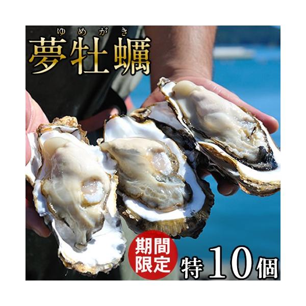 世界三大漁場である美しいリアス式海岸の三陸、豊かな山々から流れ出る栄養たっぷりの湧き水、海底からも水が湧き出ているためにここ雄勝湾はミネラルが豊富な海水として知られています。通常、カキの養殖は浅場や内湾で行われますが、雄勝湾では大きな川が無...