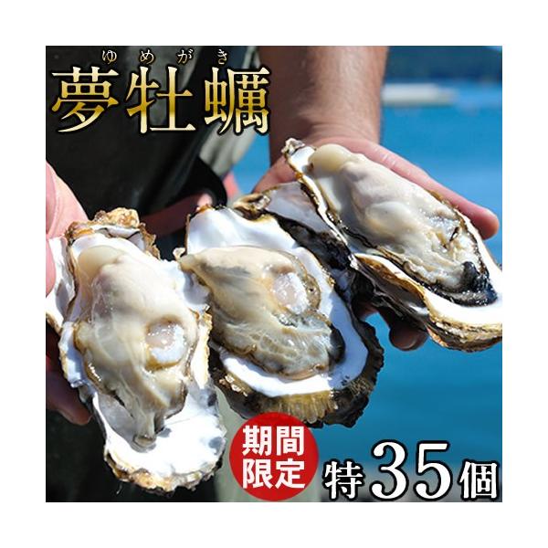 ※当店一番人気のブランド牡蠣「夢牡蠣(ゆめがき)」全国的に通常1〜2年で出荷される真牡蠣ですが、夢牡蠣は漁師が3〜4年とじっくり手塩にかけて育てたひと際大きな特大の牡蠣です。8月頃の放卵時期に向けて春から徐々に卵を蓄え、甘味ある肉厚な身が殻...