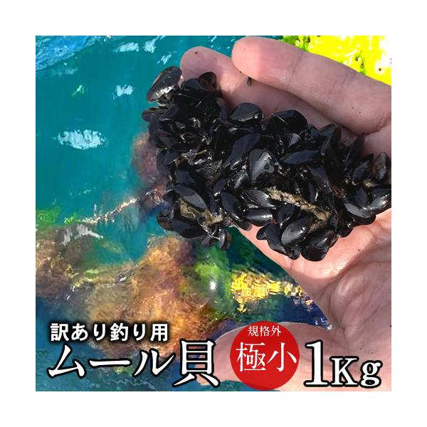 ※9月下旬頃までの期間限定サービス品となります。森の栄養分をたっぷり含んだ水が、海底から噴き出す雄勝湾で、太平洋の栄養豊富な海水で育ったムール貝です。こちらは釣り餌用の訳あり 規格外品となります。水揚げ後、選別、洗浄などは行わず、塊のままな...