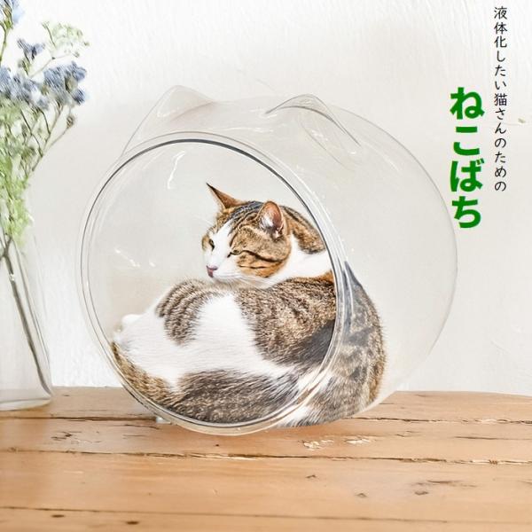 猫耳がついたかわいいスケルトンボールです。透明だから肉球やお腹のもふもふ具合、「液体」化した猫のかわいい姿などを観察できます。 サイズ（約）：幅27×奥行30×高さ30cm　入口直径27cmクッション/幅32×奥行24cm重量：約1kg素材...