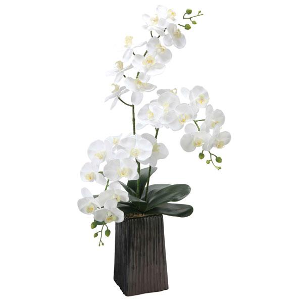 サイズ(約):W35×D45×H87cm重量(約):2430g材質:本体/ポリエチレン＋EVA、花器/陶器生産国:日本加工:光触媒加工（V-CAT）説明:酸化チタン光触媒は、植物の葉緑素が光のエネルギーを使って二酸化炭素を酸素に変えるように...
