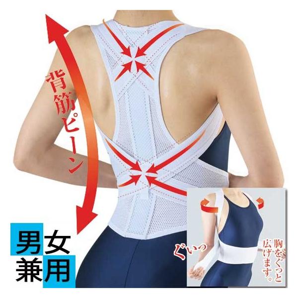 猫背は楽をしているように見えて、実は体に負担をかけさまざまなトラブルを引き起こしています。こちらは着けるだけで背筋が伸ばされ正しい姿勢になるベルトです。常に正しい姿勢が要求される乗馬姿勢からヒントを得て開発されました。「肩甲骨クロス」、「腰...