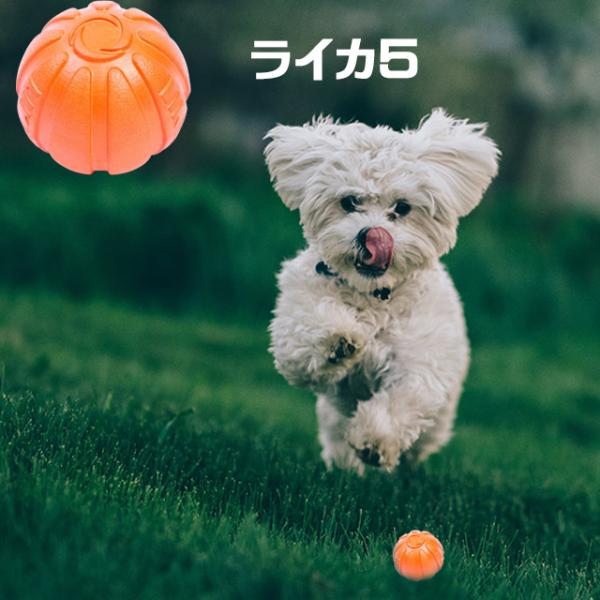 ※この商品は配達先の郵便受けに入らずご不在の場合は,「不在票が投函され、配達郵便局保管」となる可能性が高くあります。出荷完了時にお知らせする配達予定日・ご注意等を必ずお読みください。ライカ5.JAN：4571372504053【大きさ】ボー...