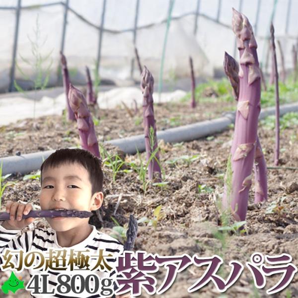 当店の＼幻の超極太 4Lサイズ アスパラガス／は、 機械で3Lサイズまで選別し、さらに手作業で太い物だけを厳選。そのアスパラガスを4Lとして販売しております。バーベキュー、茹で、バター炒めなど美味しくどうぞ。■内容量：紫アスパラ（サイズ4L...