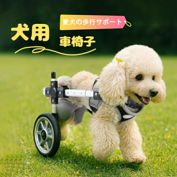 老犬や怪我をした犬の歩行をサポートする四輪タイプの車椅子です。軽量で頑丈なアルミ合金フレームと幅広前輪で安定感があります。胸囲・足回り・高さの調節が可能で、中型犬から大型犬まで対応します。ハーネス付きで安全に使用でき、持ち上げ用の取っ手も付...