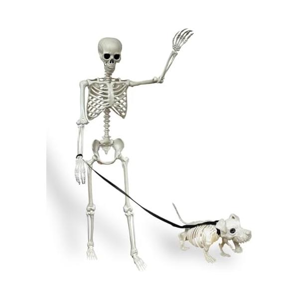 ハロウィンやイベントの装飾に使える、リアルな骸骨人形のセットです。全長約160cmの等身大サイズで存在感があります。関節が可動するため、様々なポーズを取らせて飾れます。プラスチック製で軽量なため、設置や移動が容易です。犬の骸骨(全長約51c...
