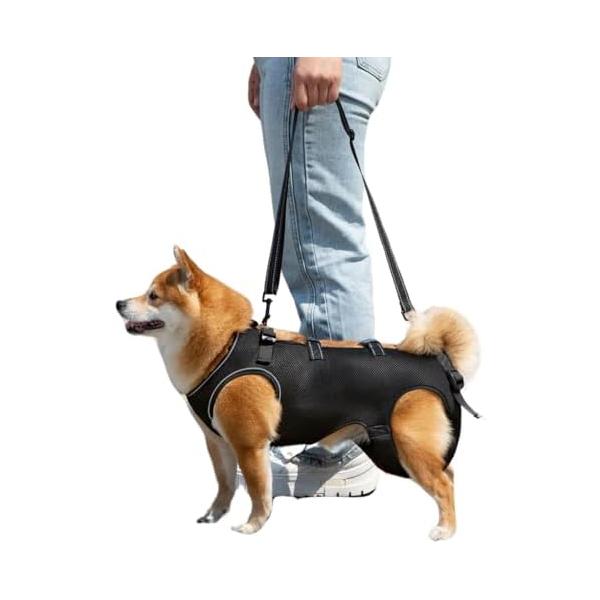 介護用ハーネスは、老犬やリハビリ中の犬の歩行補助に適しています。夜間も光るデザインで、散歩時の視認性を高めます。軽量で通気性のある素材を使用しています。小型犬から大型犬まで対応する3サイズを展開しています。サイズは手作業のため誤差が生じる場...