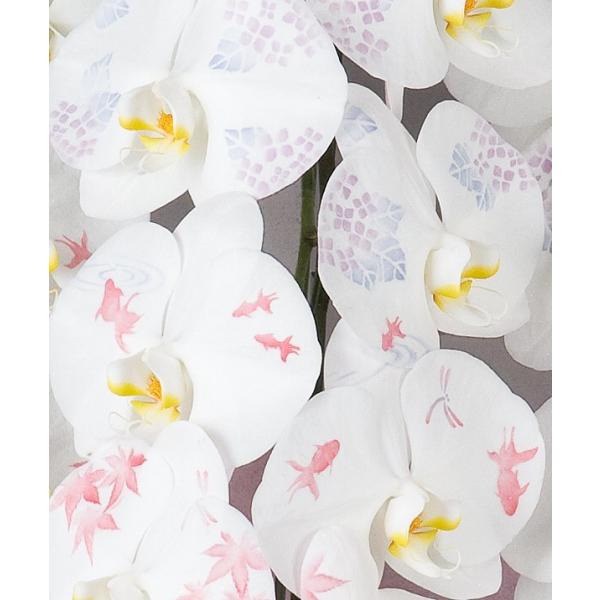 ●お化粧をした胡蝶蘭を見たことがありますか？高さ約90〜100cm 贈答品に適したサイズです。当店では胡蝶蘭に専用パウダーでのお化粧を施した「化粧蘭」を販売しています。下記の選択項目からお好みの模様や文字を選択してのオーダーとなります。・オ...