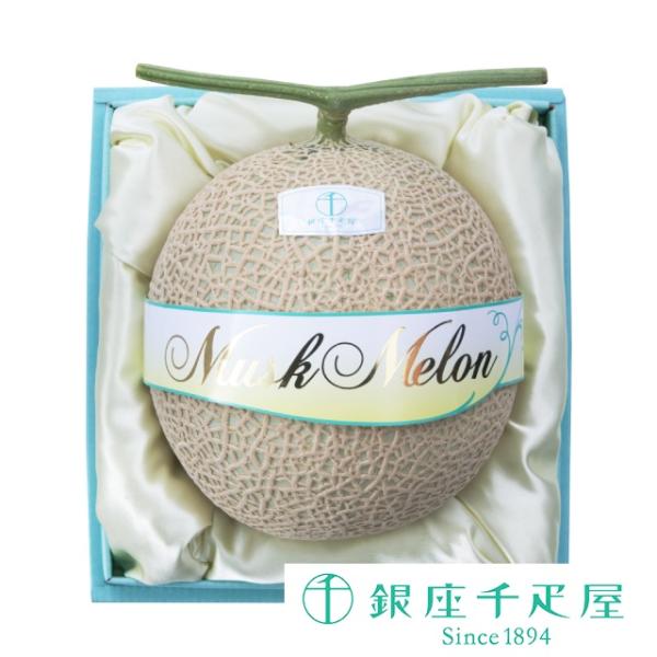 マスクメロン（約1.5kg〜）×１関連キーワード：銀座千疋屋,ギフト,高級フルーツ,通販,果物,