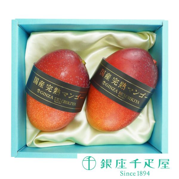 ・国産マンゴー（Lサイズ）×2関連キーワード：銀座千疋屋,ギフト,高級フルーツ,通販,果物,