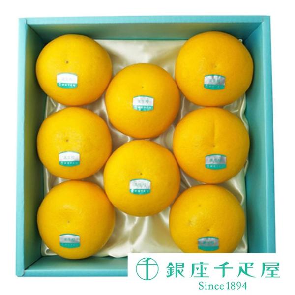 ・美生柑(みしょうかん)×8（愛媛県産）関連キーワード：銀座千疋屋,ギフト,高級フルーツ,通販,果物,