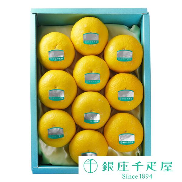 ・黄金柑×10（国内産、鹿児島県産など）関連キーワード：銀座千疋屋,ギフト,高級フルーツ,通販,果物,