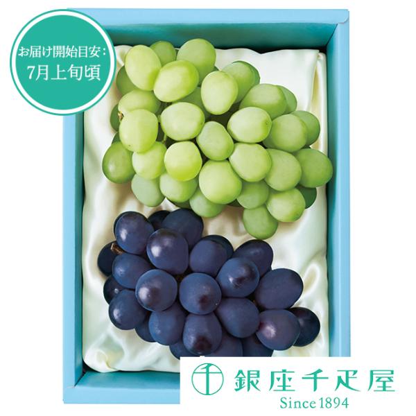 アレキサンドリア（小房）（約600ｇ）×１、ピオーネ（約500g）×１関連キーワード：銀座千疋屋,ギフト,高級フルーツ,通販,果物,