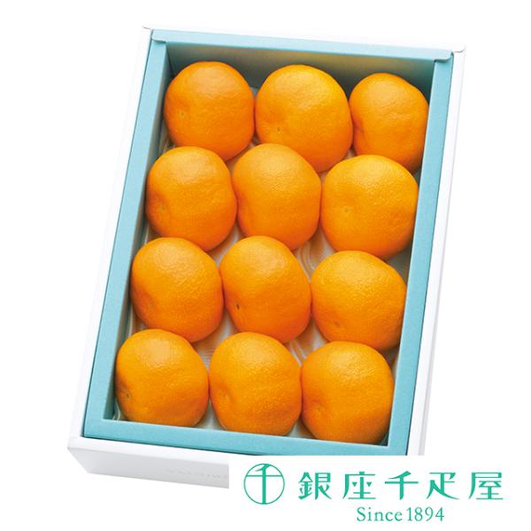 ・ハウスみかん×12関連キーワード：銀座千疋屋,ギフト,高級フルーツ,通販,果物,