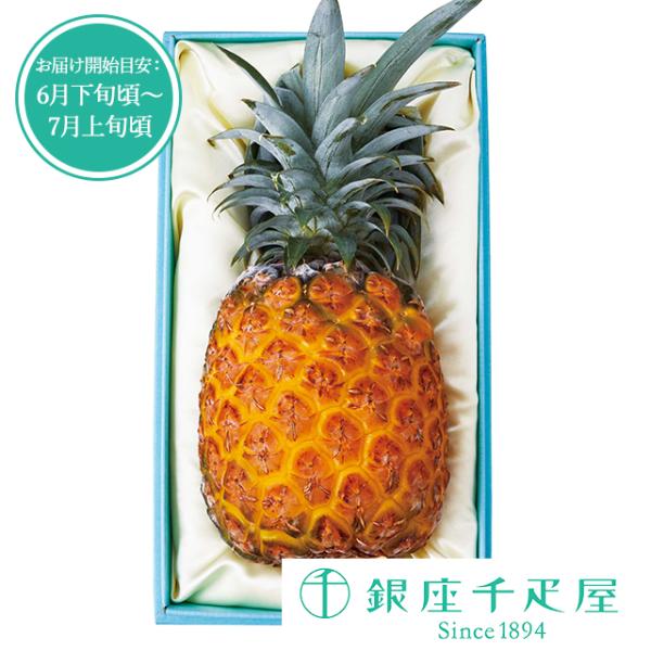 ゴールドバレル×１関連キーワード：銀座千疋屋,ギフト,高級フルーツ,通販,果物,
