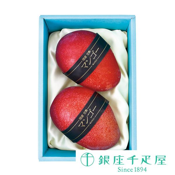 ・国内産完熟マンゴー（2Ｌサイズ）×2関連キーワード：銀座千疋屋,ギフト,高級フルーツ,通販,果物,