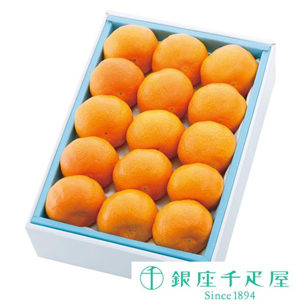 ・温州みかん×15関連キーワード：銀座千疋屋,ギフト,高級フルーツ,通販,果物,