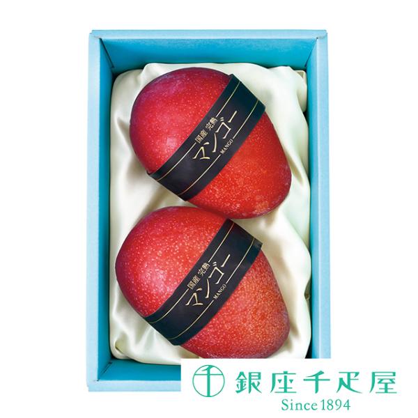 国産完熟マンゴ4L×2関連キーワード：銀座千疋屋,ギフト,高級フルーツ,通販,果物,