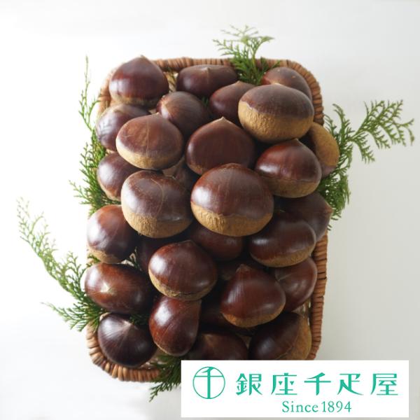 ・丹波栗 1kg・産地：熊本県関連キーワード：銀座千疋屋,ギフト,高級フルーツ,通販,果物,