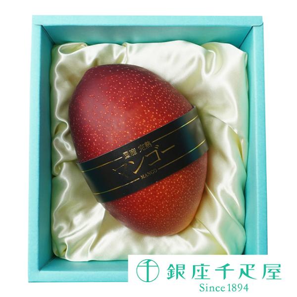 ・国内産完熟マンゴー（2Ｌサイズ）×1関連キーワード：銀座千疋屋,ギフト,高級フルーツ,通販,果物,
