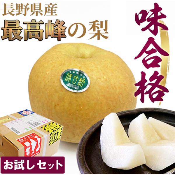 信州・上伊那産 梨 最高等級【味合格】3個（合計1.4キロ前後）ご発送時期により品種が変わります。ご自宅用ダンボール箱に入れてお送りいたします。お試しセット 豊水 南水 味合格  大玉サイズ 4なし 長野 上伊那 あじごうかく ギフト プレ...