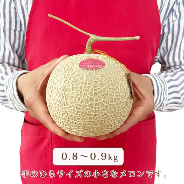 天使音メロンを小さく仕上げたマスクメロンです。小さいボディのため、より糖度や味にムラがなく「甘さ」「香り」「食感」すべてがとてもバランスのとれたメロンです。濃厚で香りと旨味が高く瑞々しさが口の中に広がります。小さいながらもどっしりとした味わ...