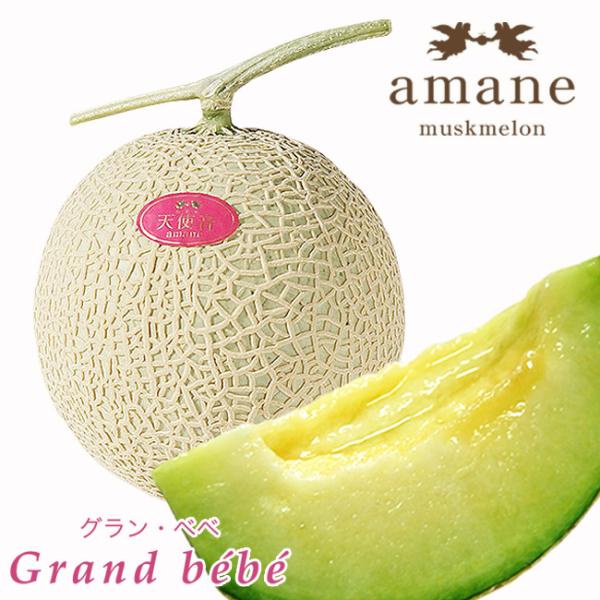 小さな天使音メロン「グランベベ」。小さいボディのため、より糖度や味にムラがなく「甘さ」「香り」「食感」すべてがとてもバランスのとれたメロンです。濃厚で香りと旨味が高く瑞々しさが口の中に広がります。小さいながらもどっしりとした味わいは、まさに...