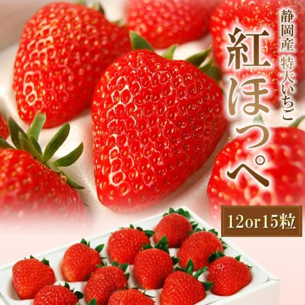 ◆静岡産 紅ほっぺ 12or15粒入（450グラム前後）甘酸っぱく、どこか懐かしい味わいの静岡産「紅ほっぺいちご」の特大サイズ。紅ほっぺは他のいちごと比べて、瑞々しくジューシーで甘味と酸味のバランスが良く、肉質がしっかりしているのが特徴です...